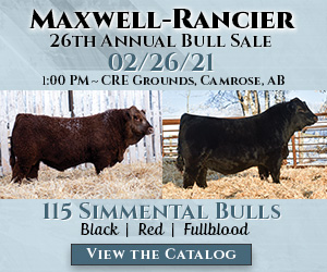 Cattle Report - Alberta Beef Producers