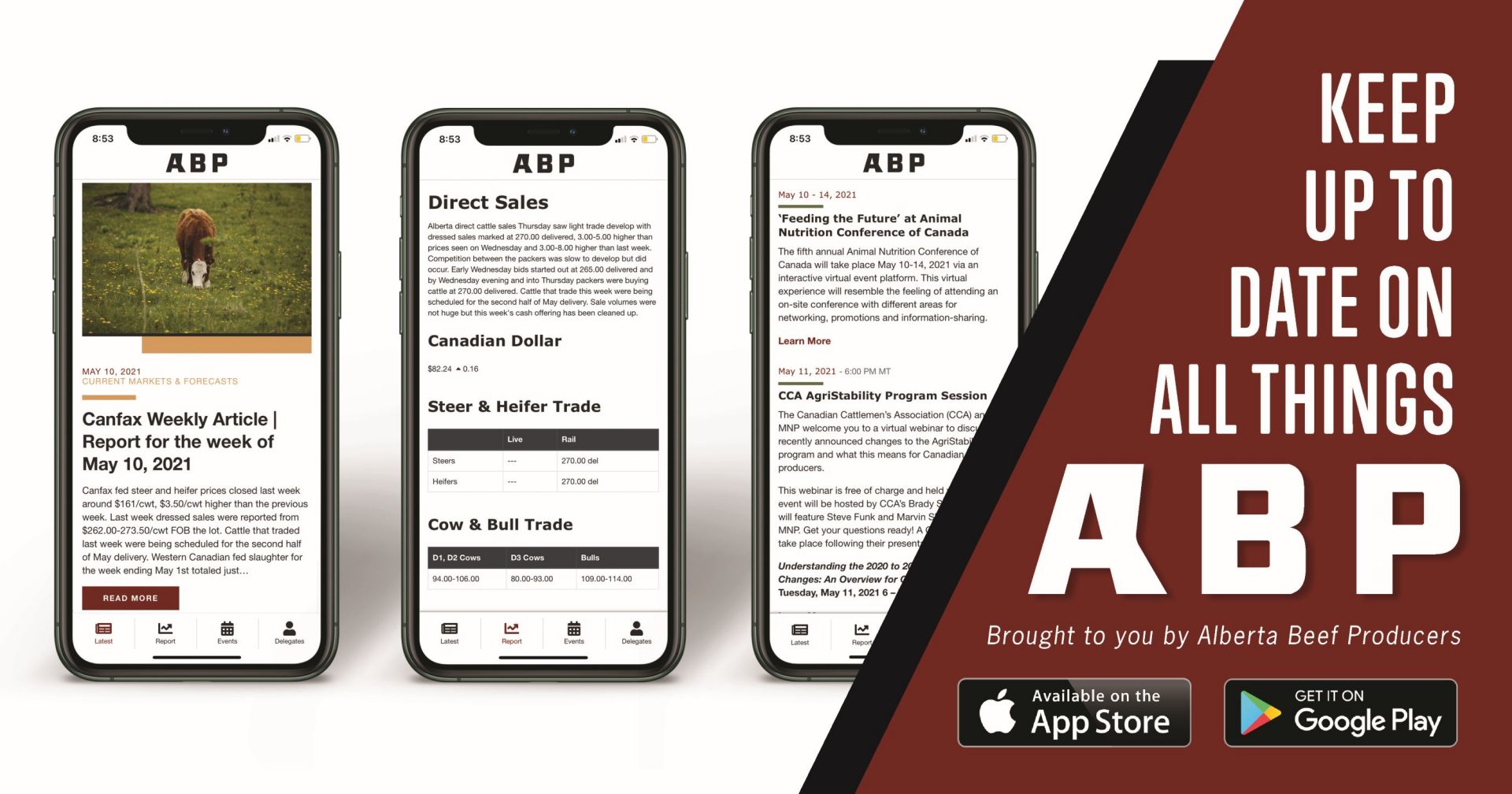 Top 5 reasons to download the ABP Daily app - Alberta Beef Producers