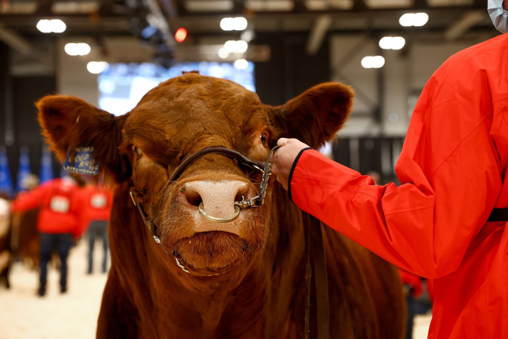 Out and about with Alberta Beef Producers - Alberta Beef Producers