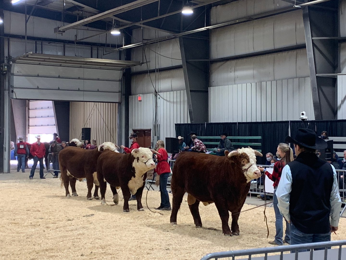 Out and about with Alberta Beef Producers - Alberta Beef Producers