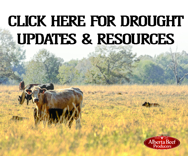 Alberta Beef Producers - For the more than 18,000 beef cattle producers ...