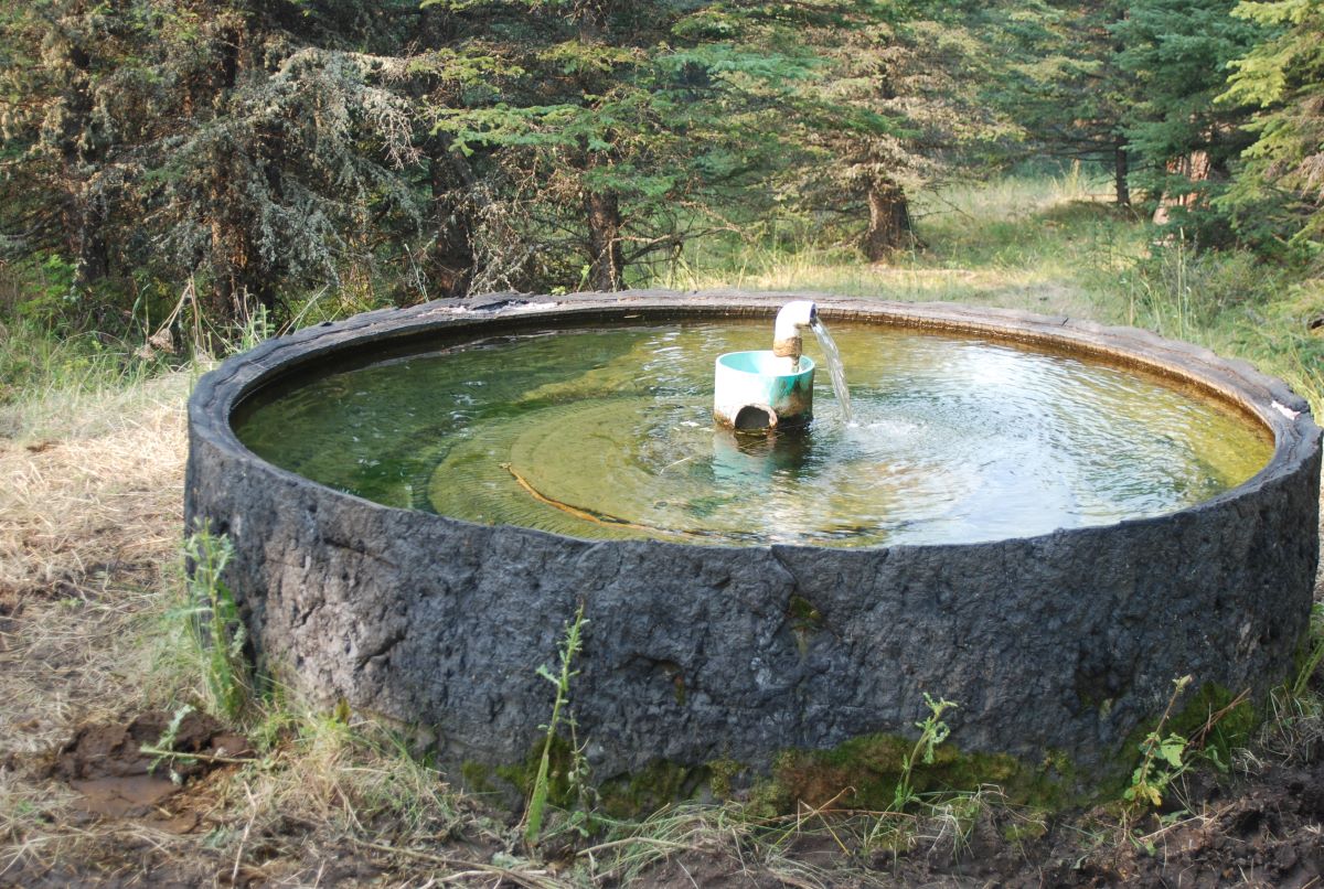 Why develop winter watering systems for your livestock? - Alberta Beef ...