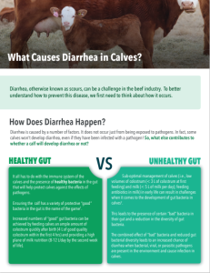 Fact Sheet: What causes diarrhea in calves? - Alberta Beef Producers