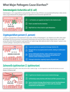 Fact Sheet: What causes diarrhea in calves? - Alberta Beef Producers