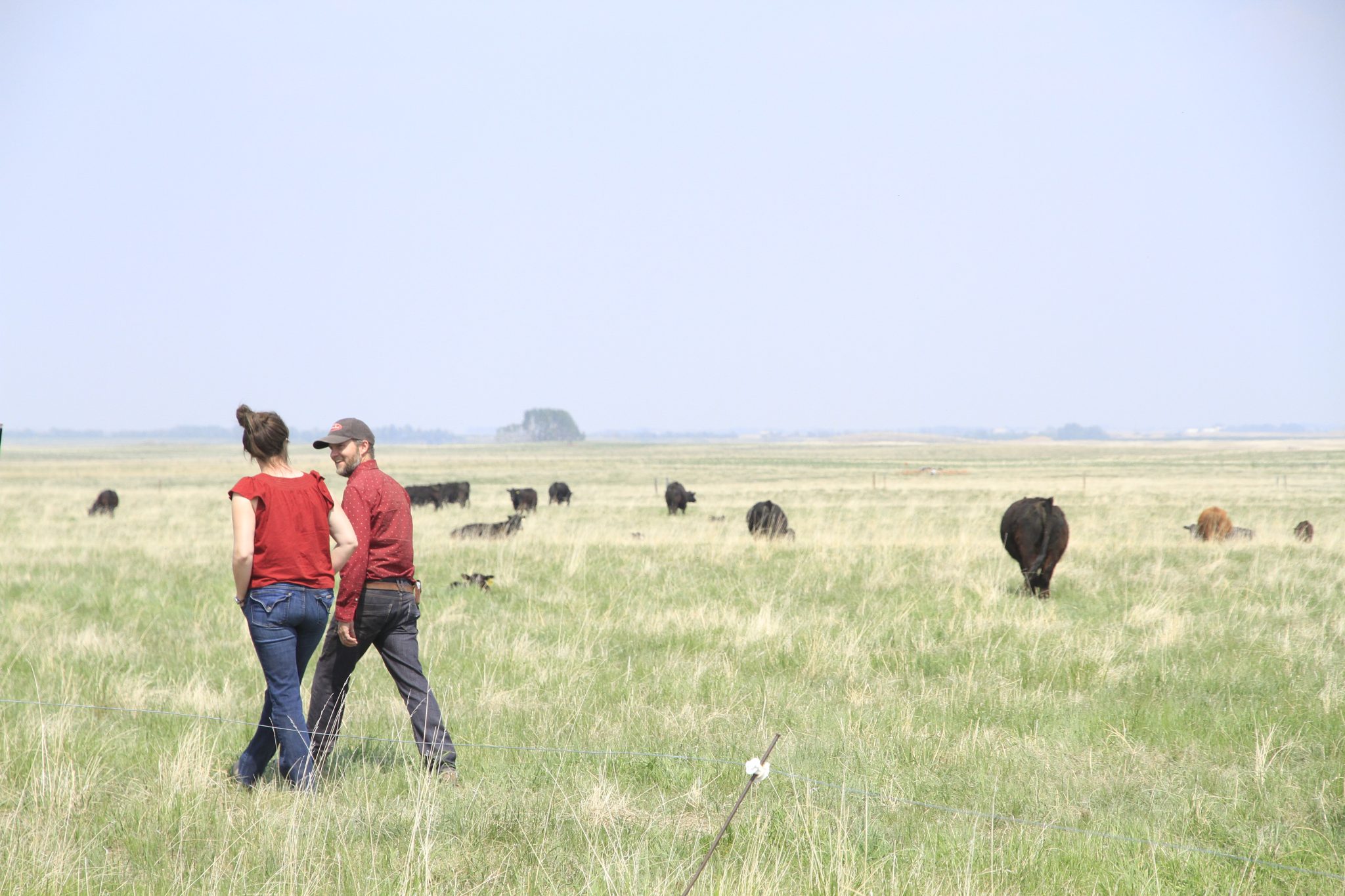 Celebrating Wray Ranch, the 2023 Environmental Stewardship Award winner ...