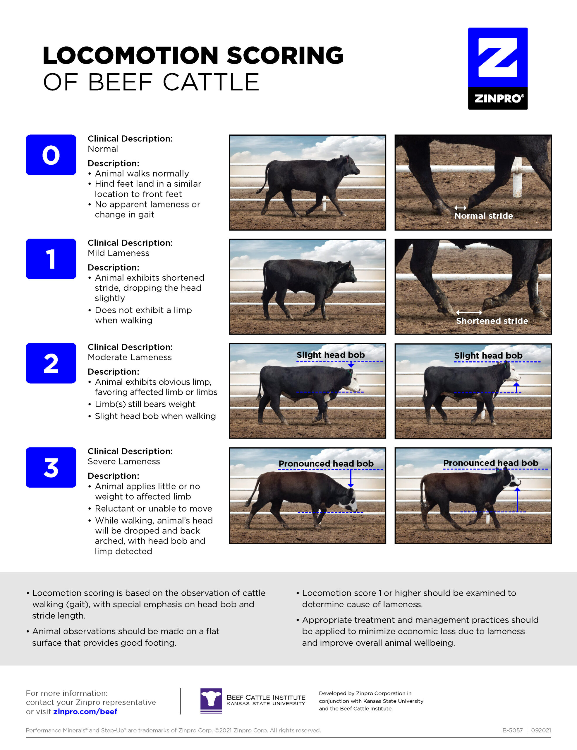 Reminders for humane transport - Alberta Beef Producers
