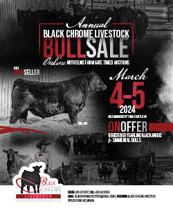 Cattle Report - Alberta Beef Producers