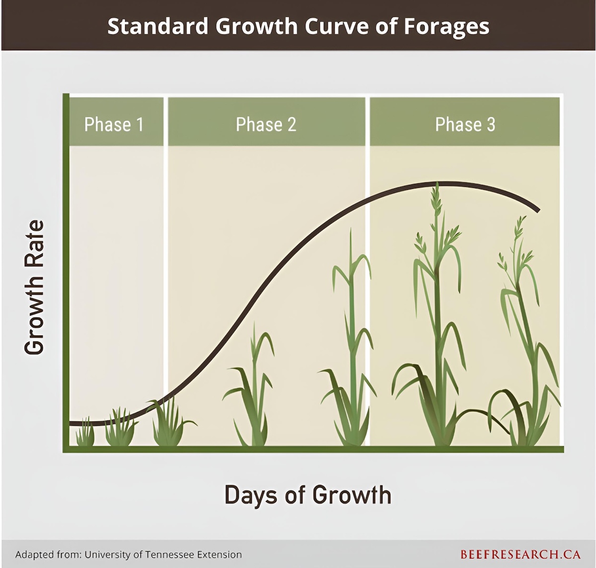 Extend the grazing season using stockpiled forage - Alberta Beef Producers