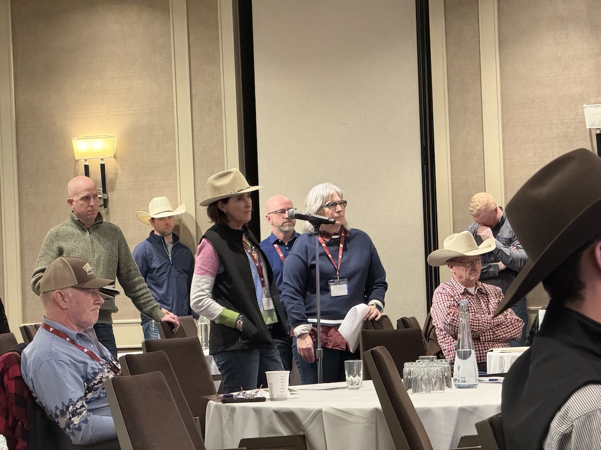 Alberta Beef Producers hosts Producer Town Hall on Traceability ...